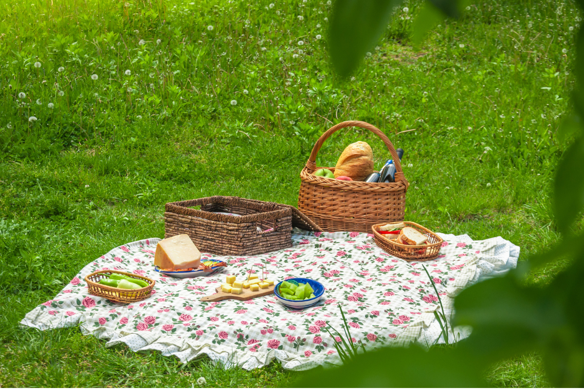 Valley-Wide Shayna Maidels Potluck Picnic in the Park - JewishPhoenix